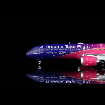 Boeing Company Boeing B787-9 (Dreams Take Flight) Reg: N1015B L2128 SQ ...